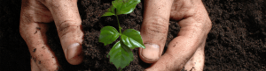Biosolids Processing & Biological Nutrient Removal